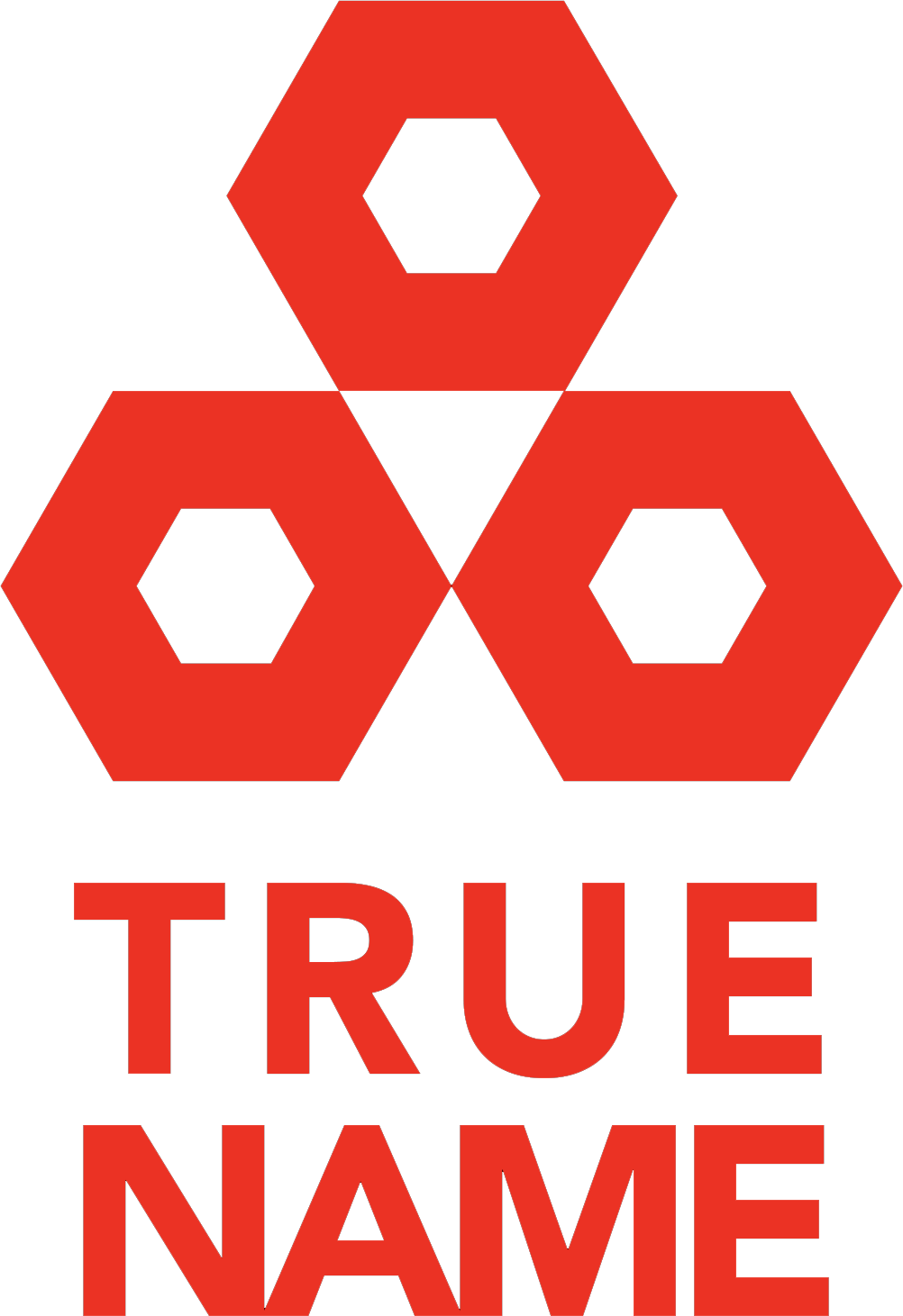 True Name An NFT Experience true-name-an-nft-experience